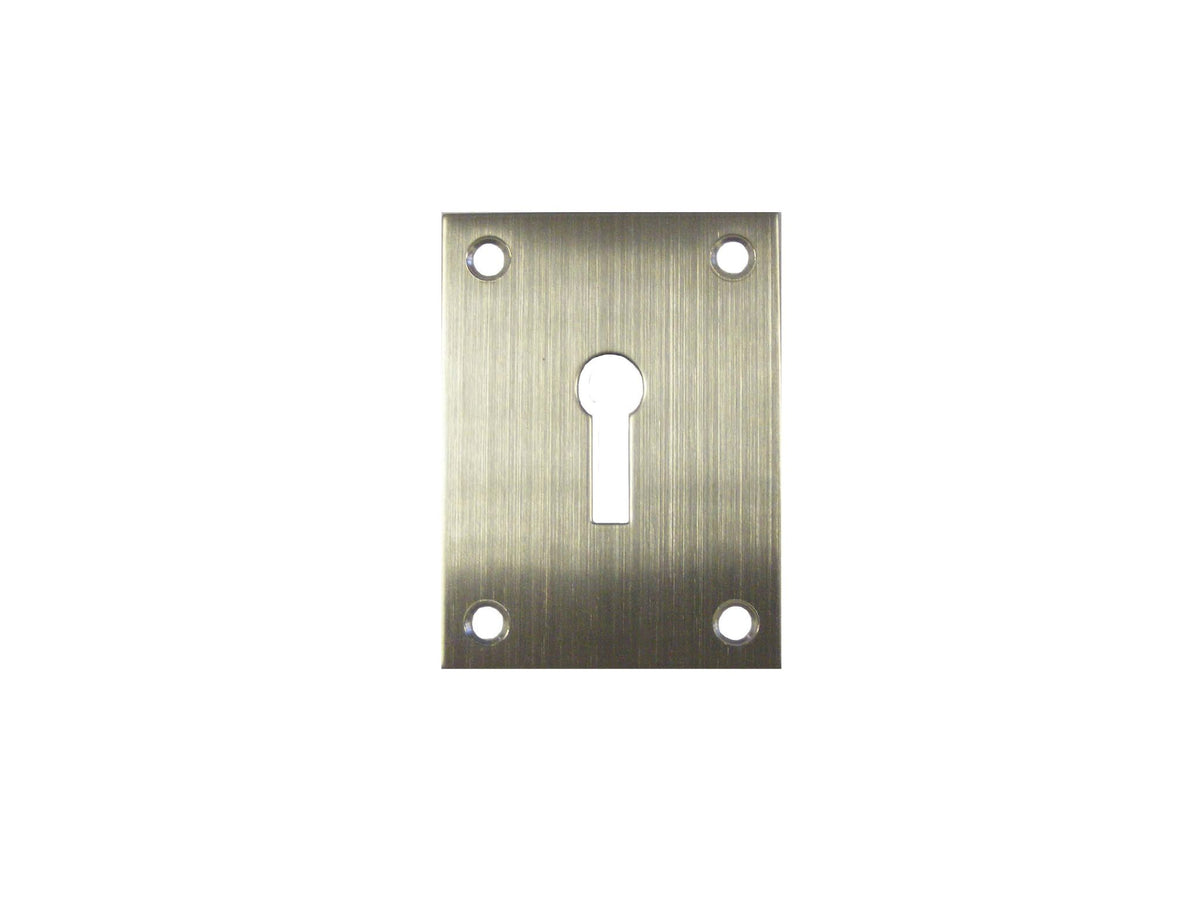 Bary - Flat Plate - Keyhole- Screw On Escutcheon - Satin Stainless Ste ...
