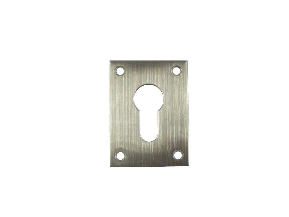 Bary Euro Screw On Escutcheon Satin Stainless Steel — Newstar Door ...